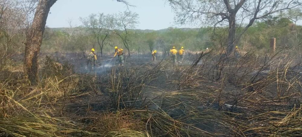 Más De 100 Mil Hectáreas Están Afectadas Por Incendios Forestales Y El